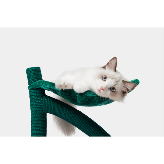 Cherry Cat Tree Scratcher by Vetreska – Jackson Galaxy