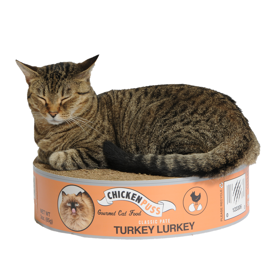 Catification - Cat Furniture by Jackson Galaxy