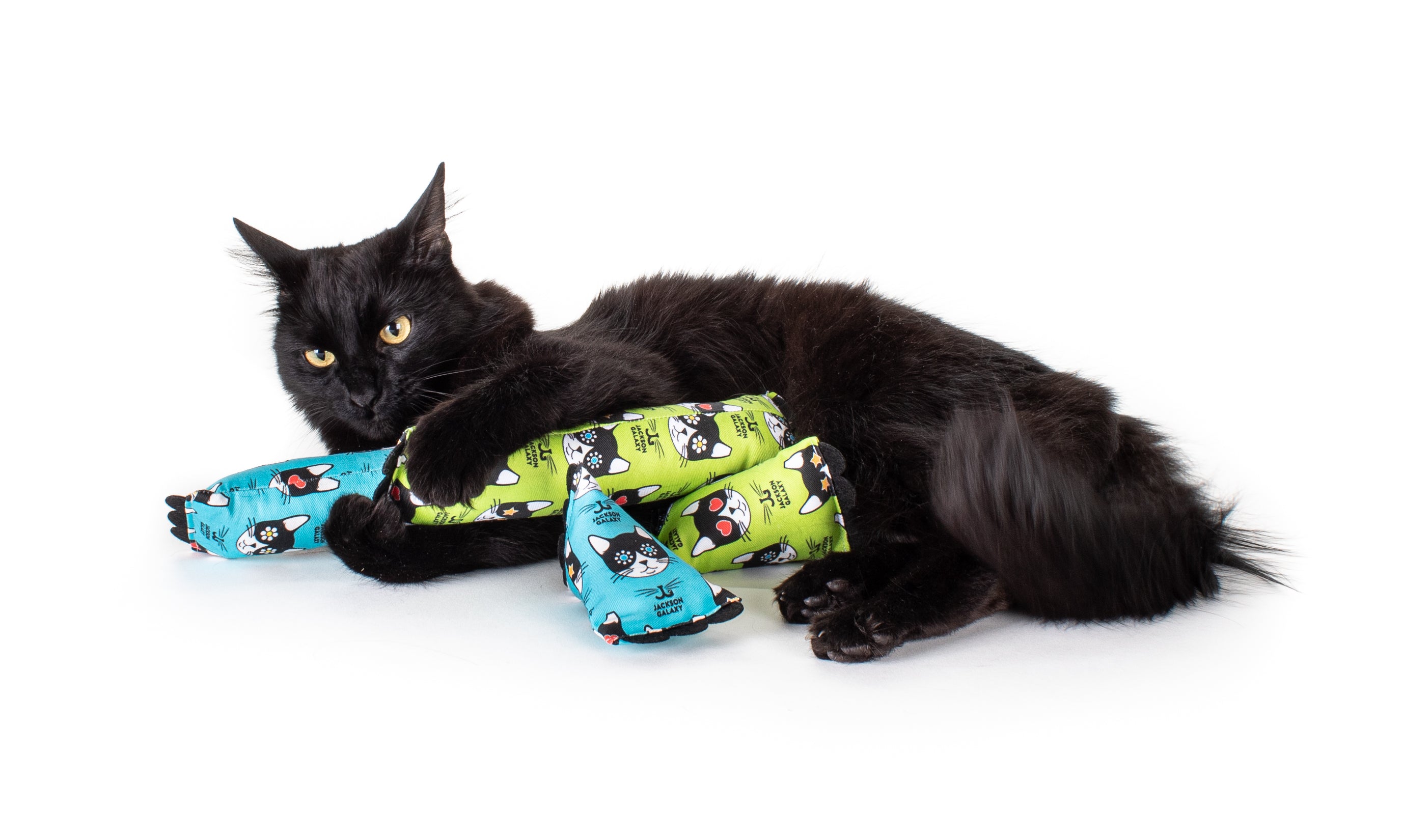 Toys – Jackson Galaxy