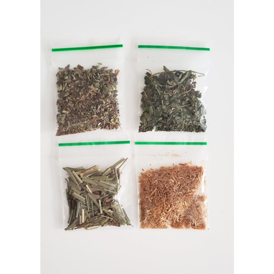 Space Kitty Express Sampler Pack – Jackson Galaxy