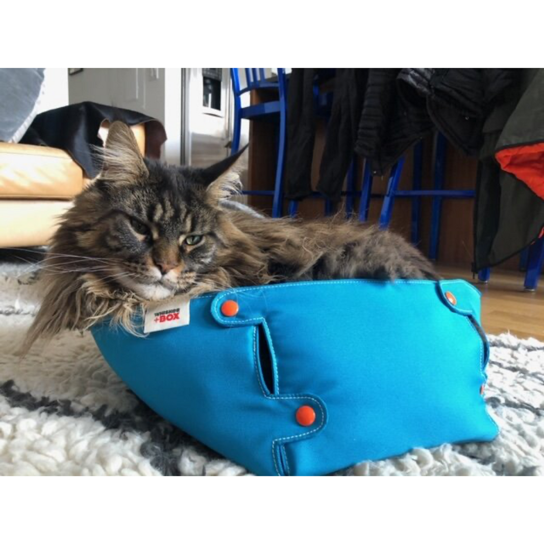 Cat Beds – Jackson Galaxy