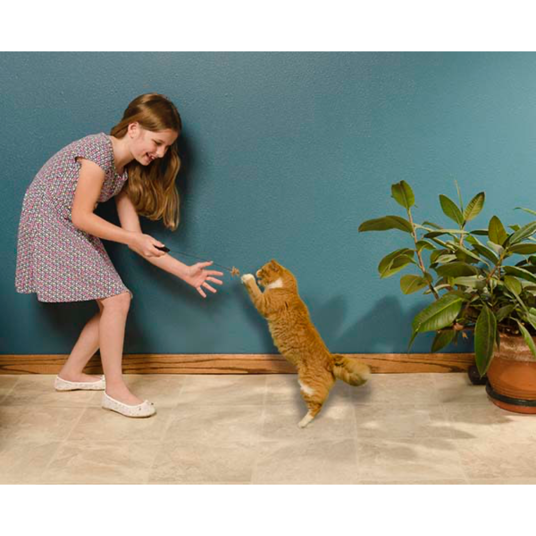 Hyperactivity – Jackson Galaxy